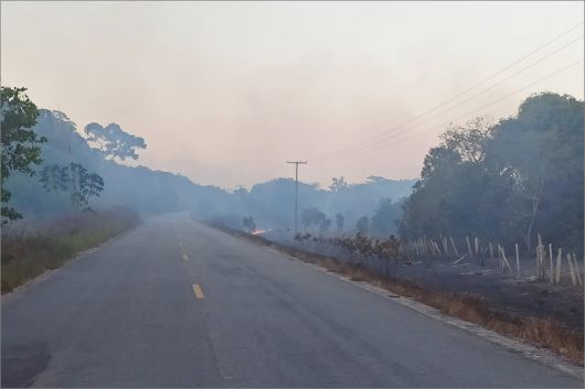 Veracel Celulose compartilha dicas para apoiar a comunidade a evitar ...